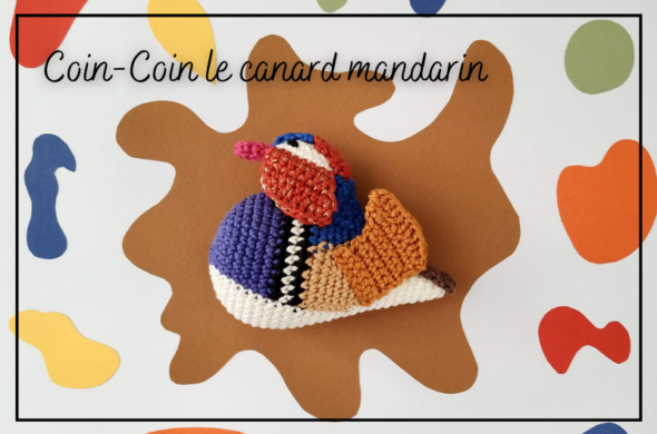 Coin-Coin le canard mandarin – L'emmailleuse